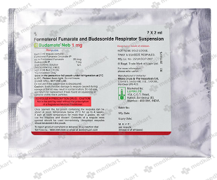 BUDAMATE NEB 1MG RESPULES 7X2 ML, Price, Composition & Generic ...